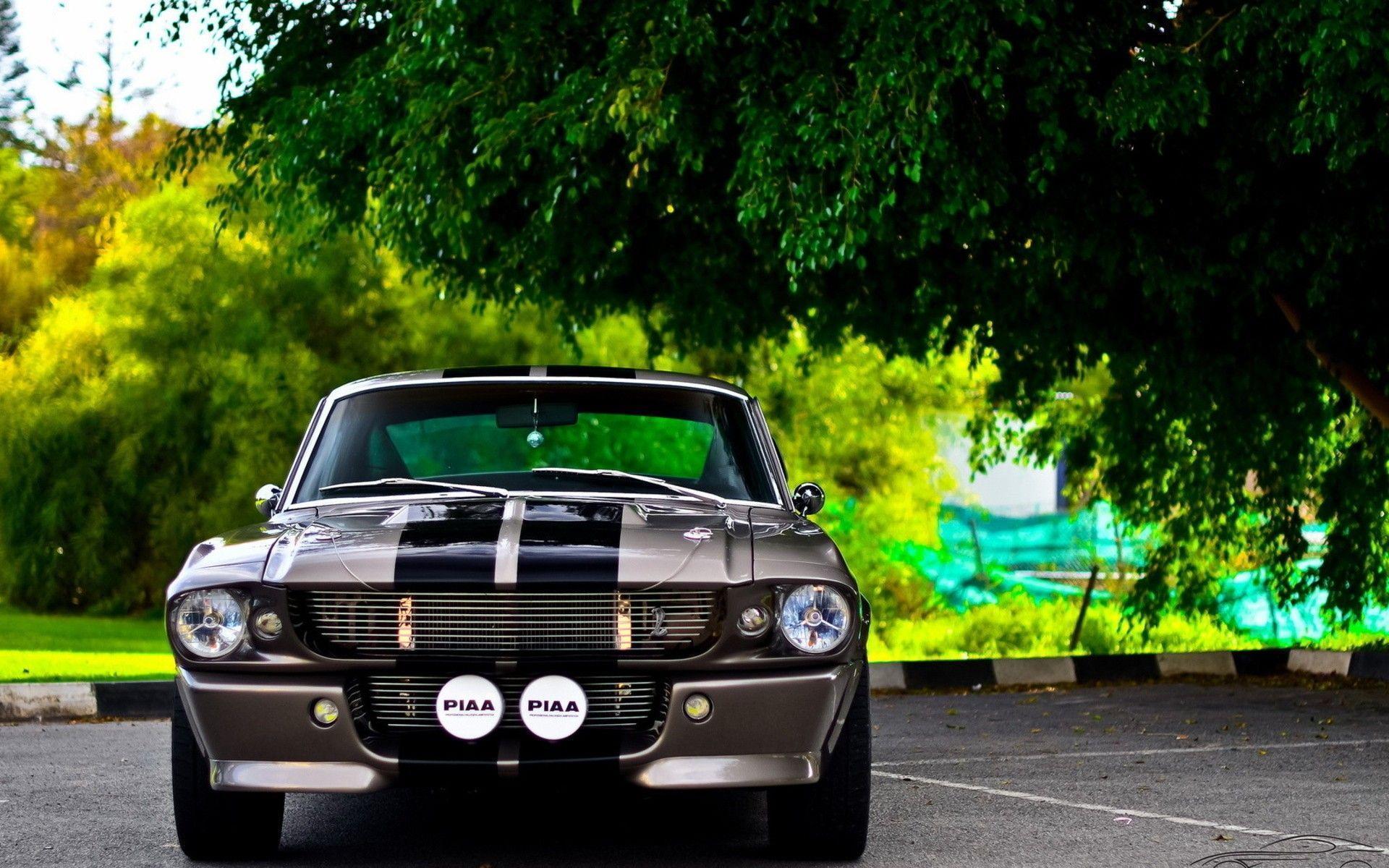 Ford Mustang Shelby GT350 – Tapety na Pulpit i Telefon - Tapety