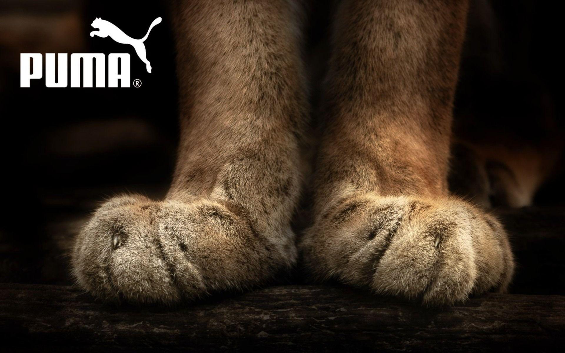 Puma – Tapety na Pulpit: Odkryj Stylowe Tła na Każde Urządzenie - Tapety